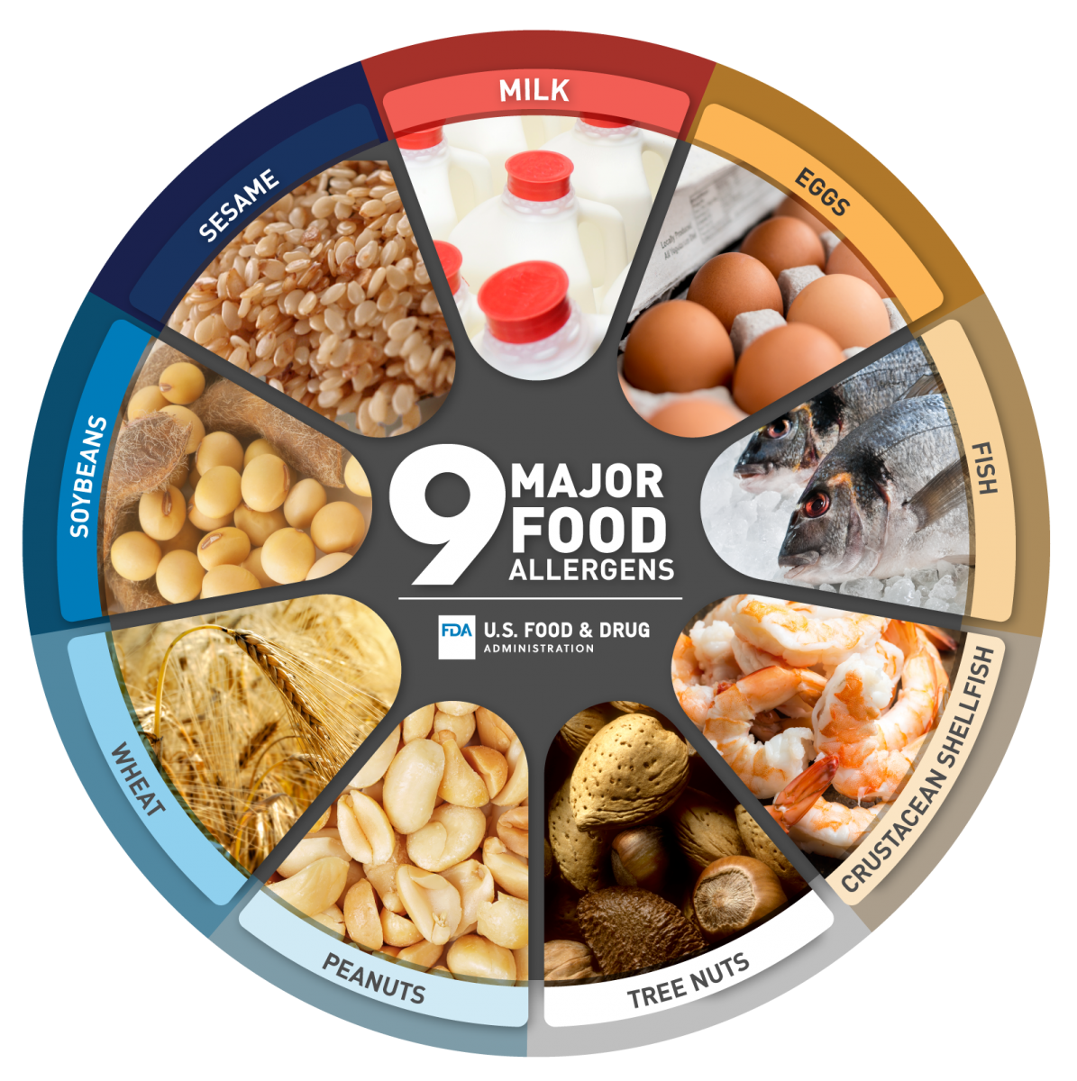 Food Allergen Poster Requirement Naugatuck Valley Health District Food Allergen Poster Requirement Naugatuck Valley Health District